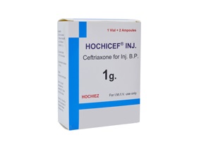 Taizhou Sunzone Int'l Ltd.